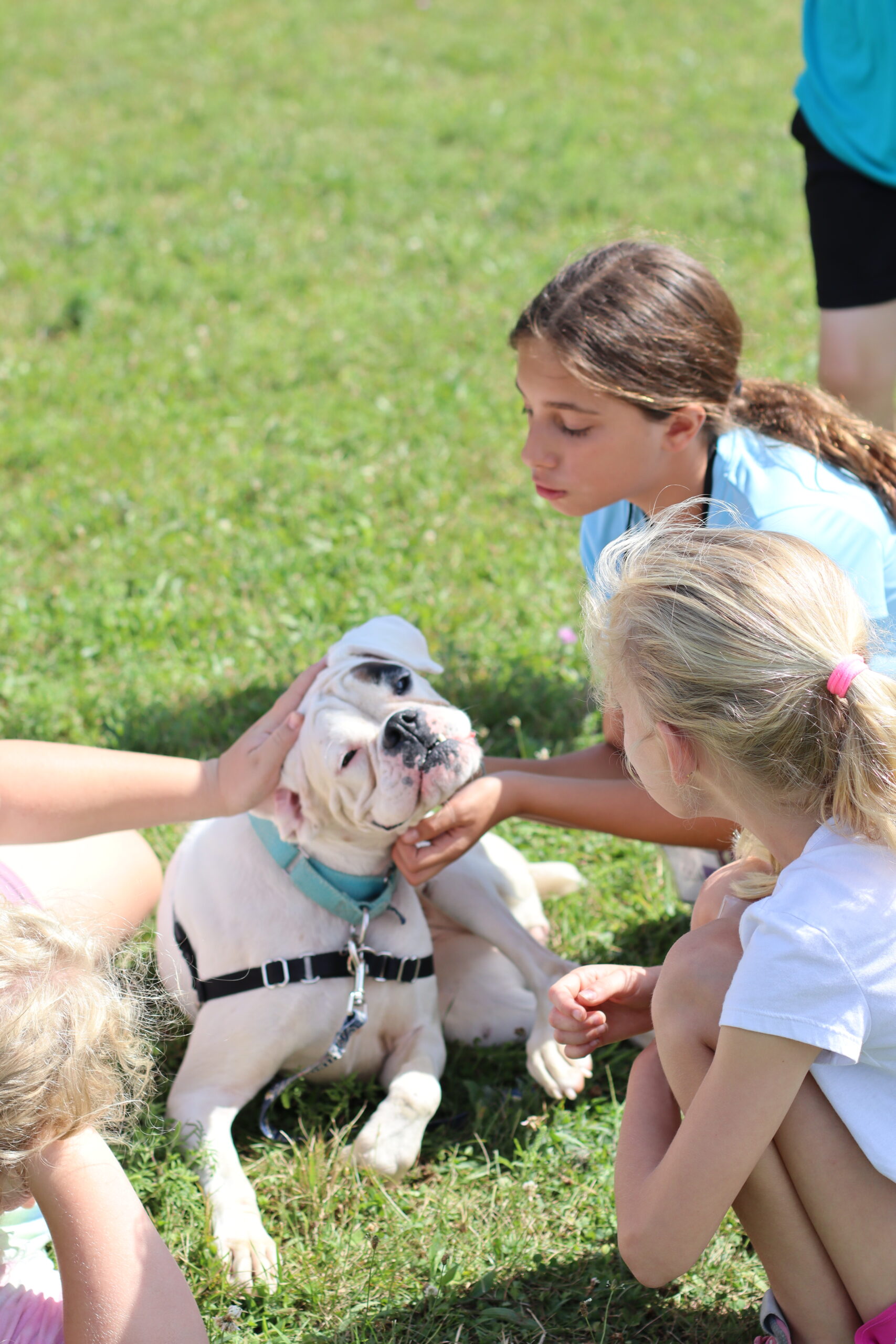 #6: Summer Camp Registration...Open NOW! - HAWS