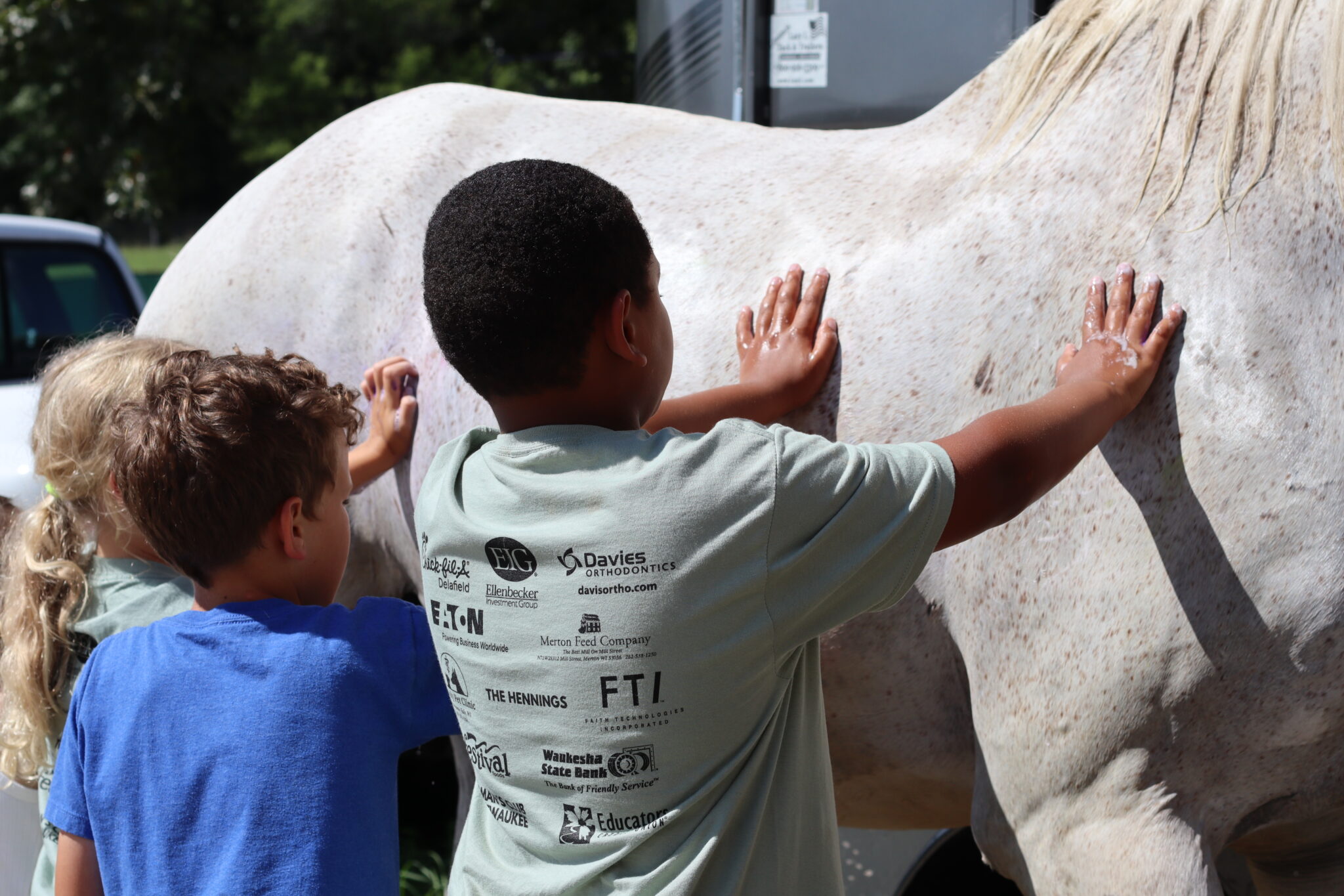 Junior Large Animal Vet - HAWS