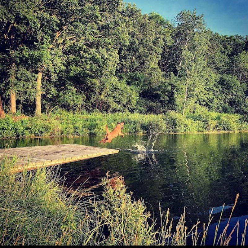 Private Dog Park & Dock - HAWS